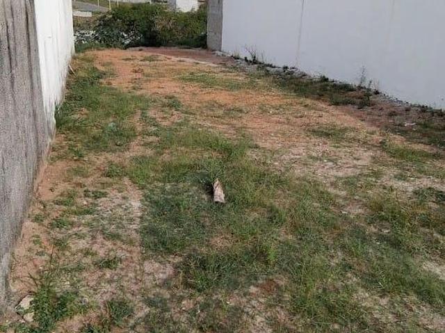 Terreno à venda, Residencial Parque das Palmeiras, Pindamonhangaba, SP