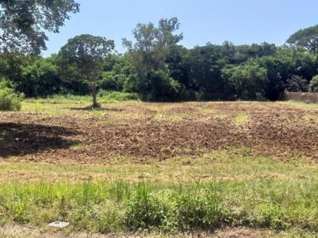 Terreno à venda, Residencial Torrezan Saltinho/SP