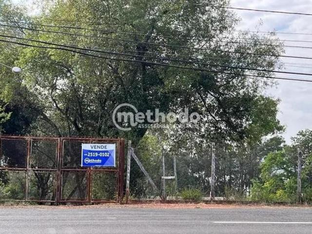 Terreno à venda Riviera Tamborlim Americana/SP