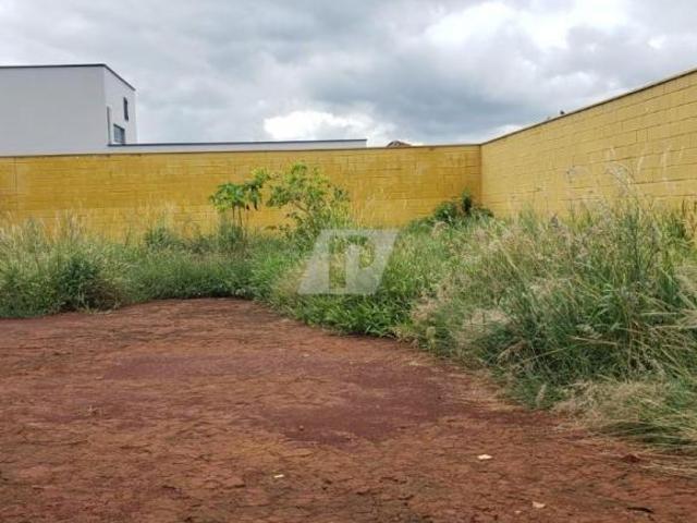 Terreno a Venda TERRAS DI TREVISO 520 m²