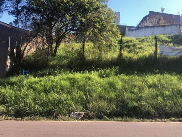 TERRENO À VENDA – TINGUI, CURITIBA/PR