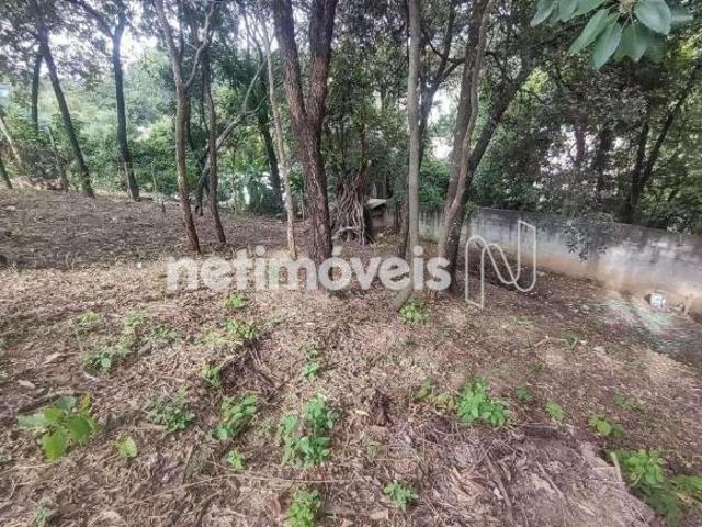 Terreno à Venda, Tropical, Contagem