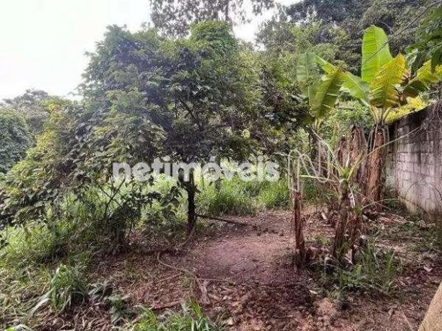 Terreno à Venda, Tropical, Contagem