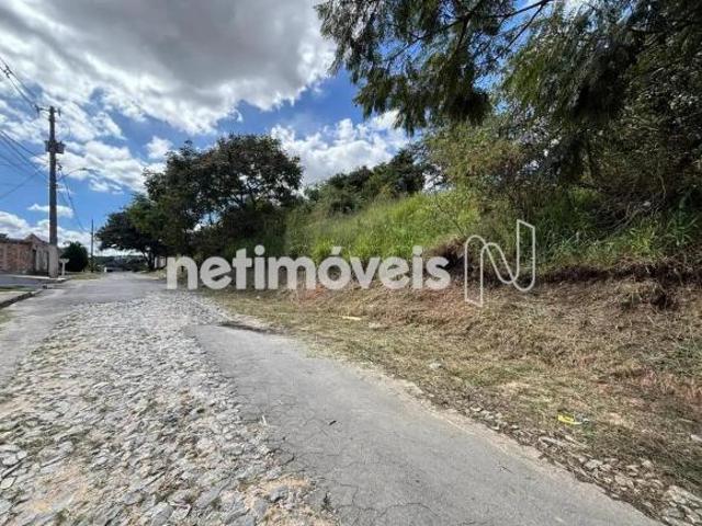 Terreno à Venda, Tropical, Contagem