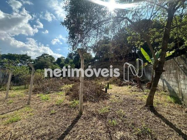 Terreno à Venda, Tropical, Contagem