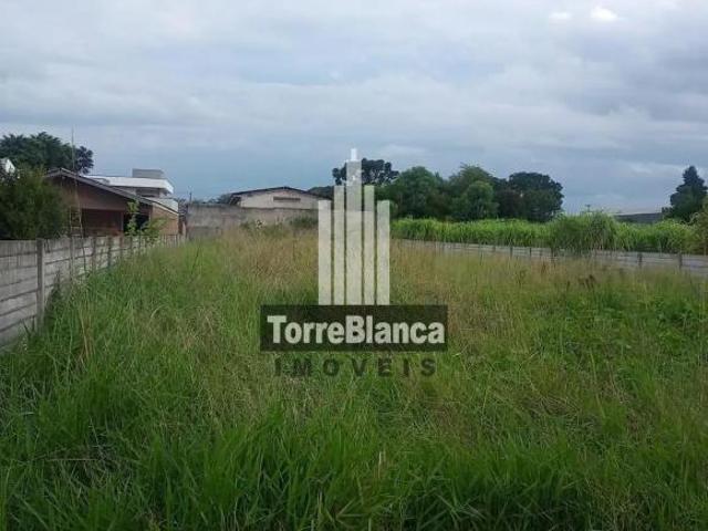 Terreno à venda, Uvaranas, Ponta Grossa, PR
