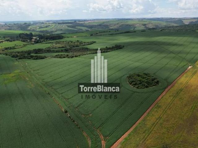 Terreno à venda, Uvaranas, Ponta Grossa, PR