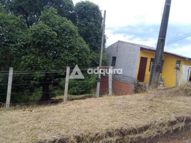 Terreno à venda, Uvaranas, Ponta Grossa, PR