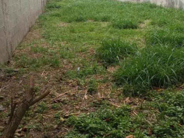 Terreno à Venda Vila Valparaíso em Santo André 800 m² para Empreendimentos Residenciais / Comerciais