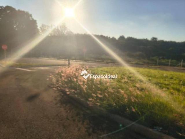 Terreno a venda: vila da mata 1