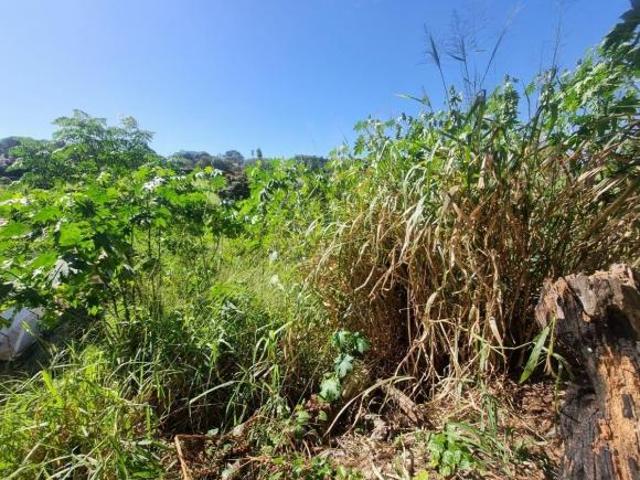Terreno à Venda ? Vila Gardênia, Atibaia/SP
