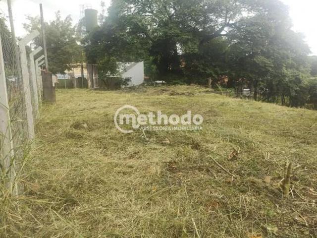 Terreno à venda Vila Ipê Campinas/SP