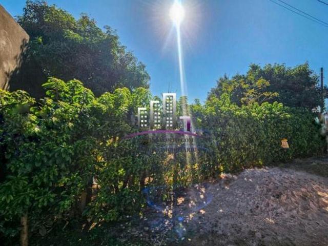Terreno à venda – Vila Palmeiras I, Campinas