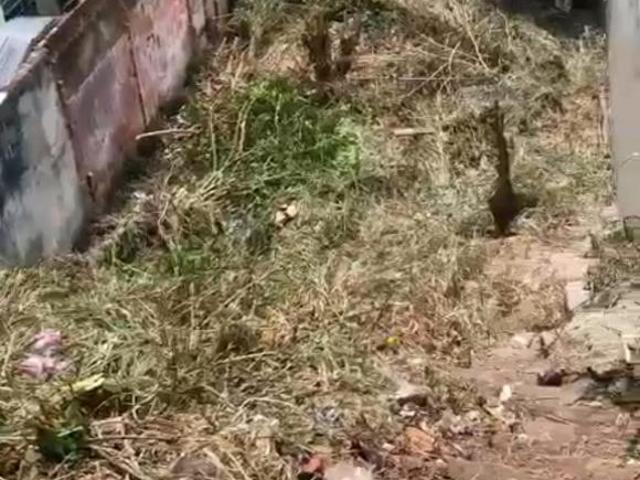 Terreno à venda Vila Polopoli São Paulo