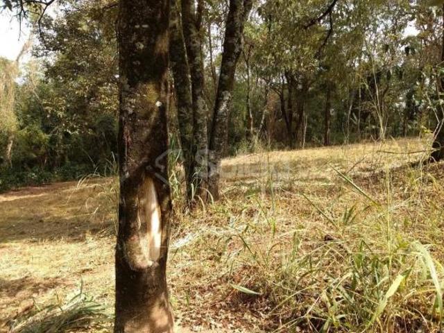 terreno à venda, Vista Alegre Vinhedo/SP
