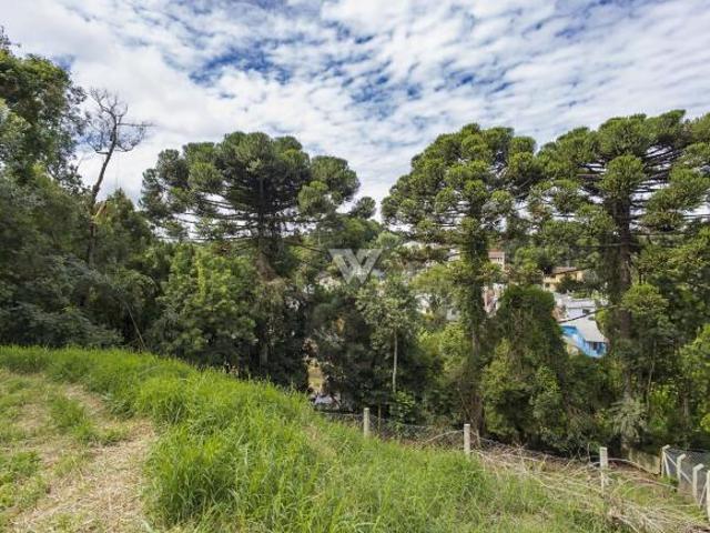 TERRENO ABRANCHES CURITIBA