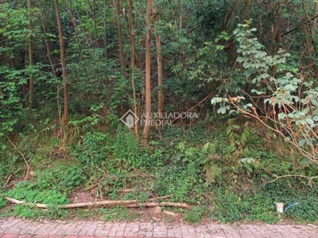 Terreno acima do nível da Rua. Nova Petrópolis RS. Ensolarado