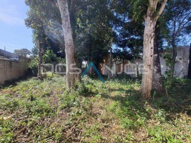TERRENO ACIMA DO NÍVEL DA RUA SEMIPLANO