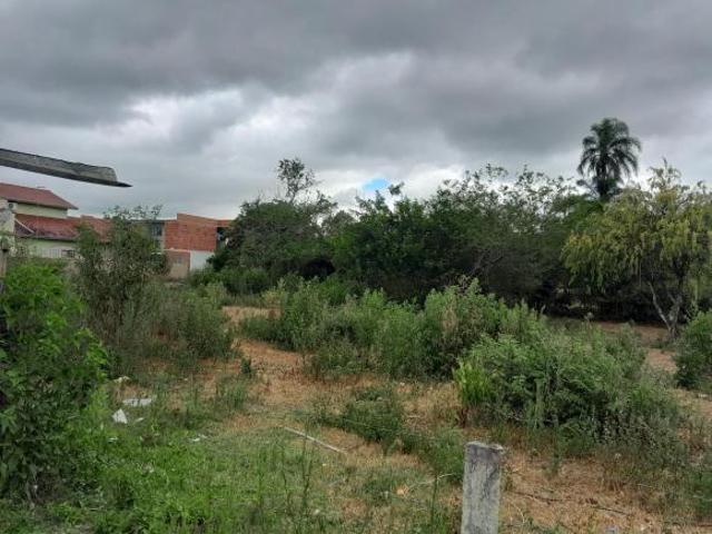 Terreno, Aeroclube, Montenegro, RS