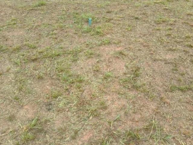 TERRENO AGROPANÇA