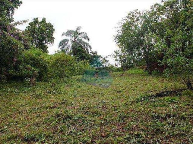 Terreno, Almada, Ubatuba R$ 1.4 mi, Cod: 546