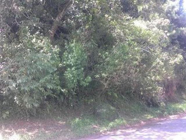 Terreno, Alpes da Cantareira, Mairiporã, SP