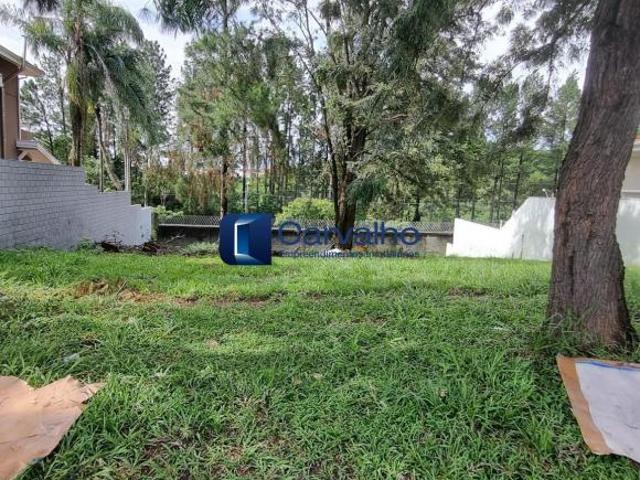 TERRENO ALPHAVILLE CAMPINAS, CAMPINAS SP