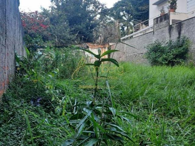 Terreno alto da Boa Vista