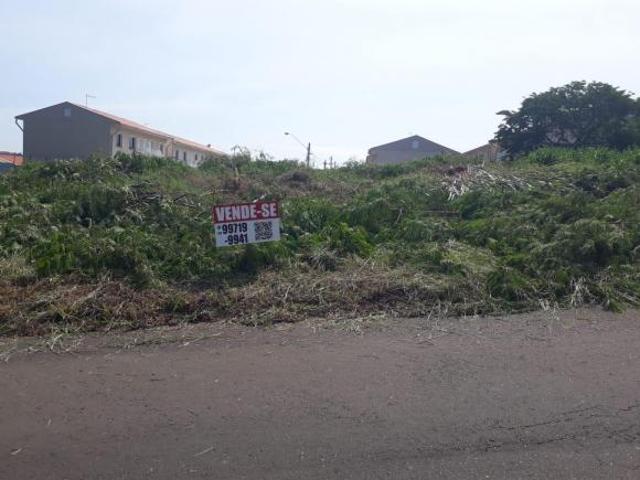 Terreno Alto de São Francisco