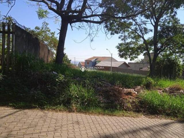 Terreno alto e pronto para construir
