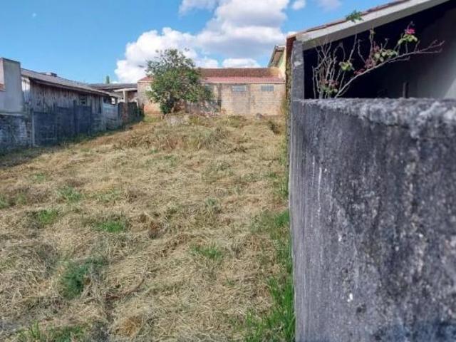 Terreno Alto e Seco de 316m com Estudo Aprovado para 2 Tríplex Curitiba