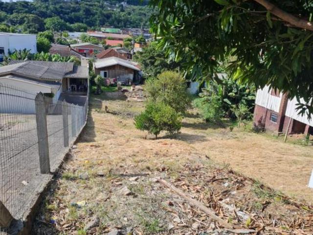 Terreno alto no centro, região livre de inundações !