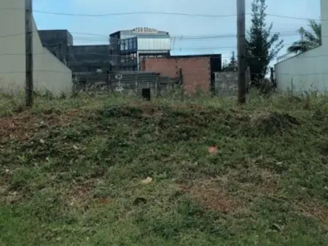 Terreno alto no bairro Moinhos