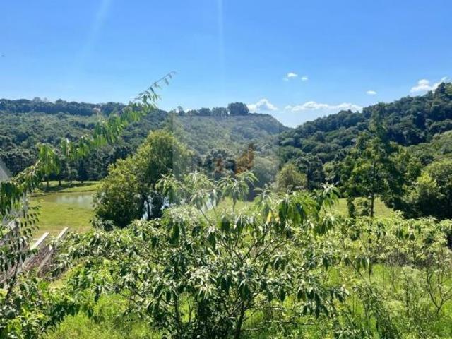 Terreno Alto Padrão Nova Petrópolis | Bosque das Araucárias | 364m² Linha Imperial
