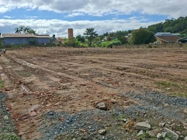 Terreno Aluguel Lontras SC Centro