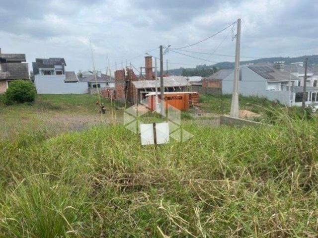 TERRENO AMPLO NO BAIRRO CASTELO BRANDO