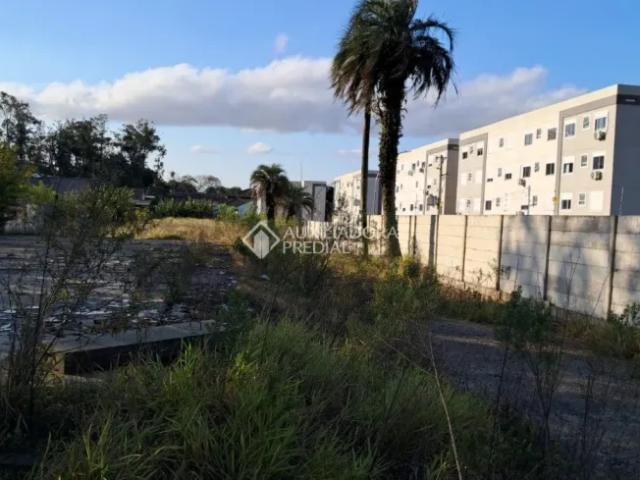 Terreno amplo no bairro Morro Santana, em Porto Alegre