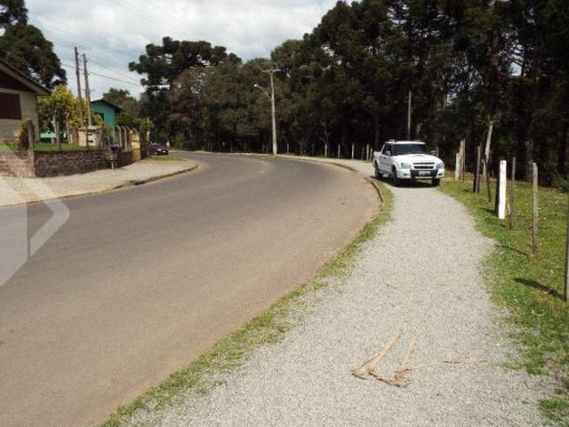 TERRENO AMPLO NO CENTRO DE CANELA!