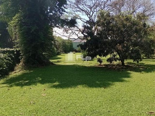 TERRENO AMPLO NO CENTRO DE FELIZ