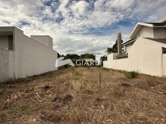 Terreno amplo à venda em excelente localização, JARDIM GISELA, TOLEDO PR