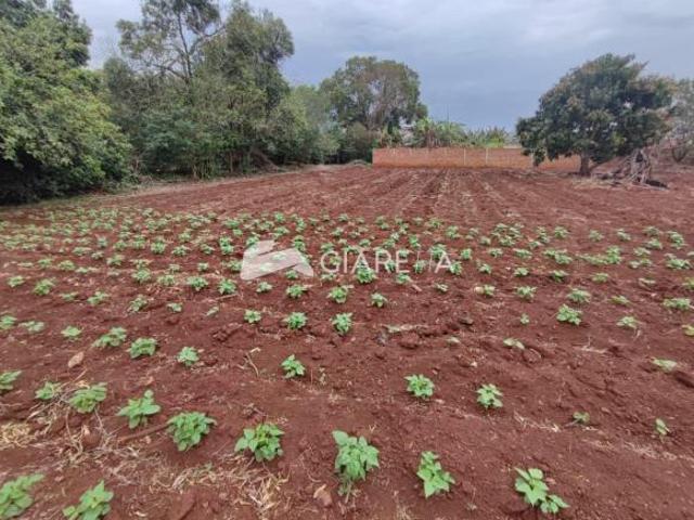 Terreno amplo à venda em ótima localização, BOM PRINCÍPIO DO OESTE, TOLEDO PR