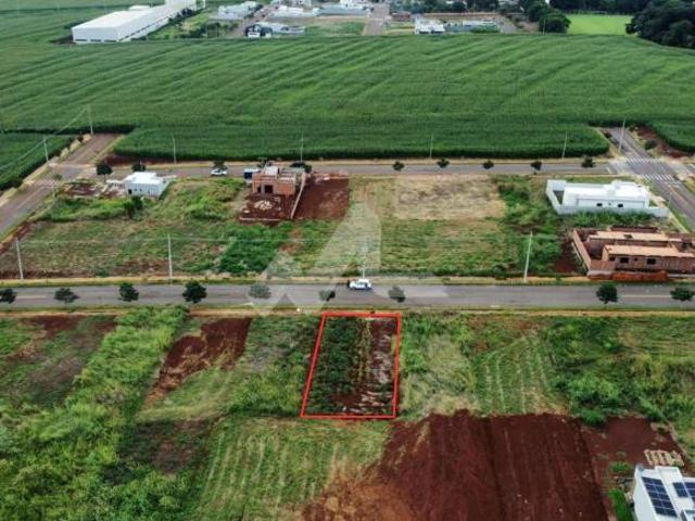 Terreno amplo à venda, Novo Sobradinho, TOLEDO PR
