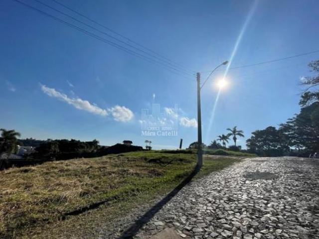Terreno amplo, alto e com linda vista