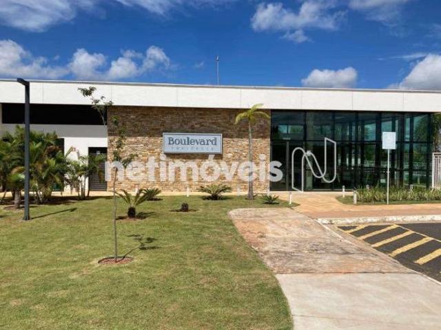 Terreno amplo com 399,30 m², Localizado no SHTO Jardim Botânico/DF