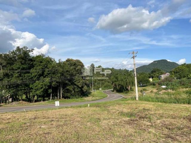 TERRENO AMPLO COM FÁCIL ACESSO PARA A RS 452