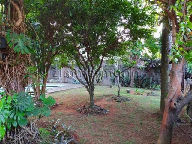 Terreno Amplo com Jardim, Piscina e Árvores Frutíferas!