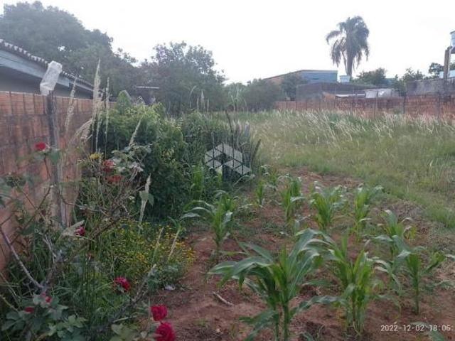 Terreno amplo com ótima localização