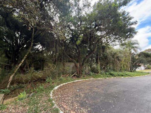 Terreno Amplo de 3.160 m² em Zoneamento ZR 2 — Bairro Alto, Curitiba