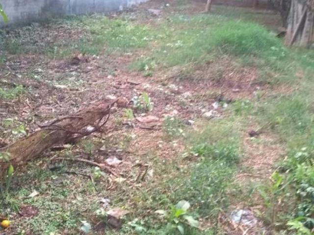 Terreno amplo de 480m² no Novo Mundo – excelente localização!
