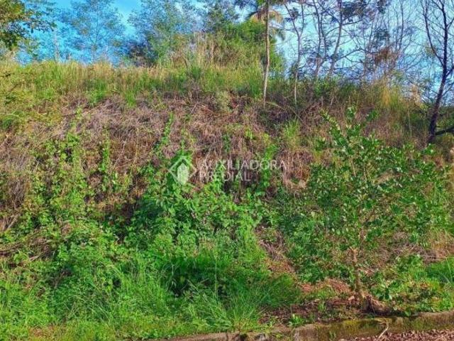 Terreno amplo e com vista em Pinhal Alto Nova Petrópolis RS